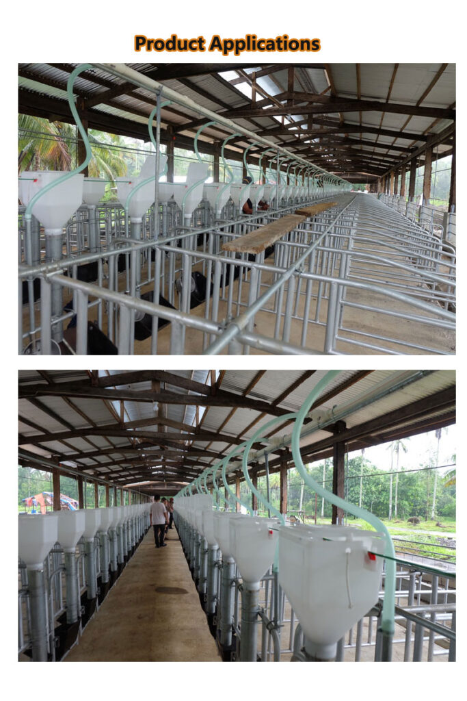 Automatic Pig Feed Dispenser Self Feeder Pig farming equipment&Poultry ...
