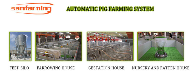 European style PVC fence farrowing crates for pigs Pig farming ...