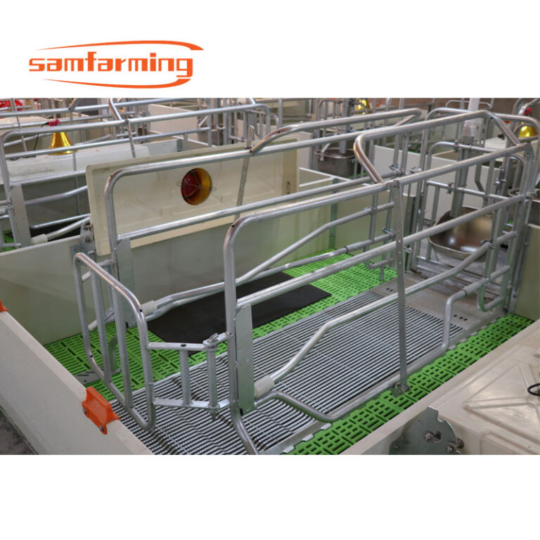 Pig farrowing crate 归档 - Pig farming equipment&Poultry farming equipmet ...
